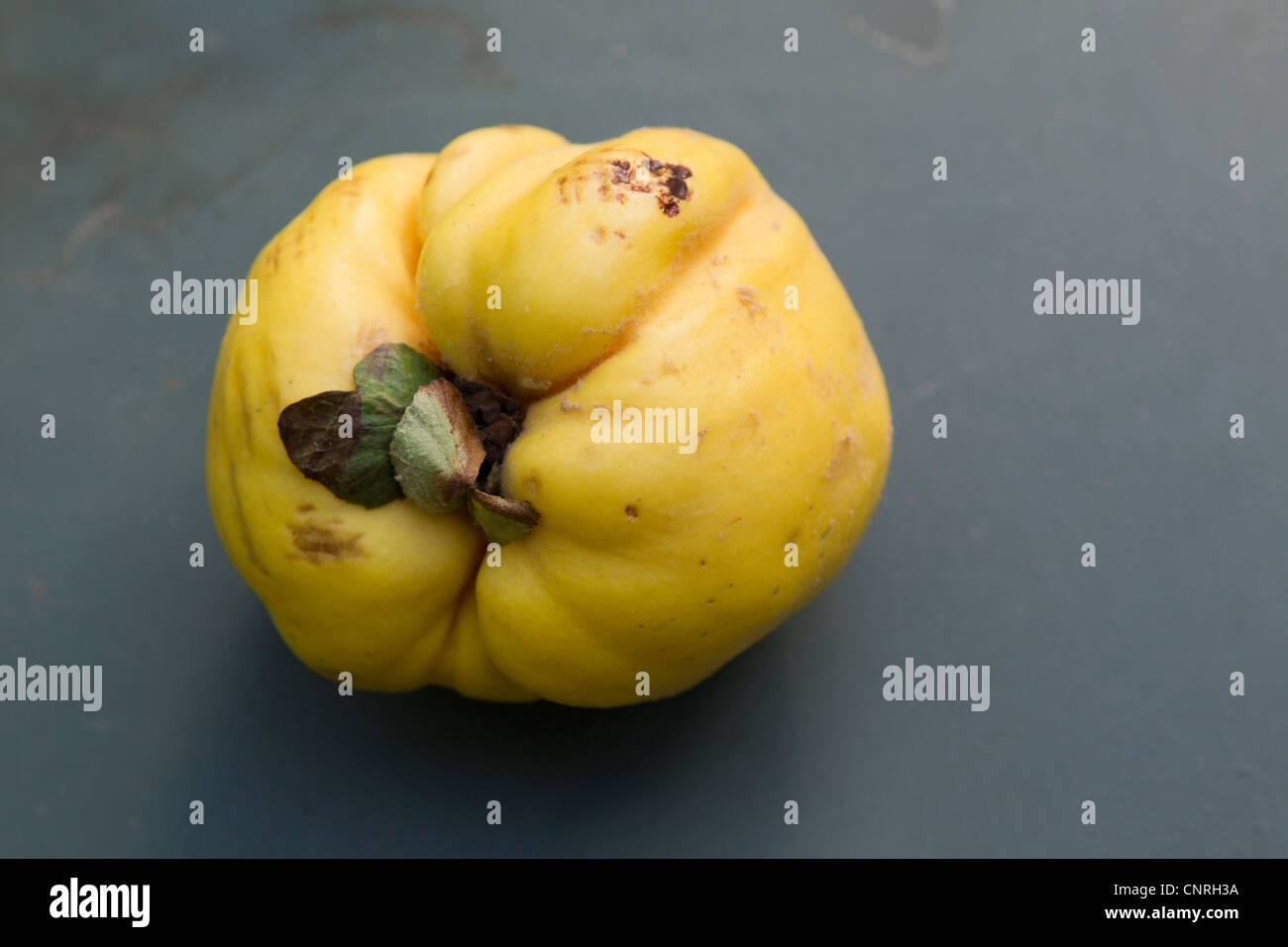 Fruit de coing Banque de photographies et d’images à haute résolution ...