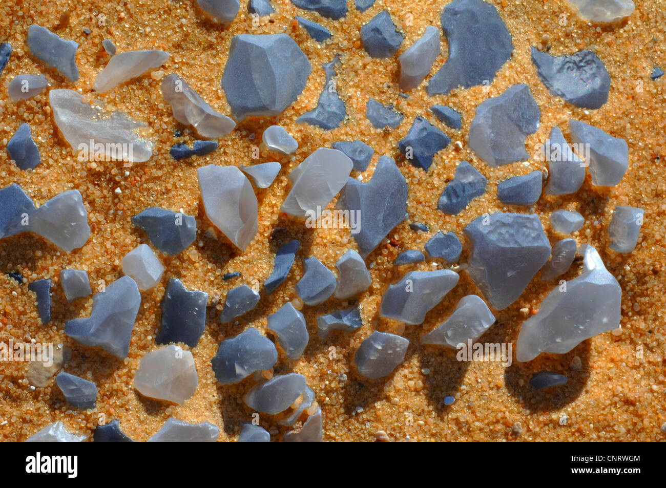 Mineral from sahara desert Banque de photographies et d’images à haute ...