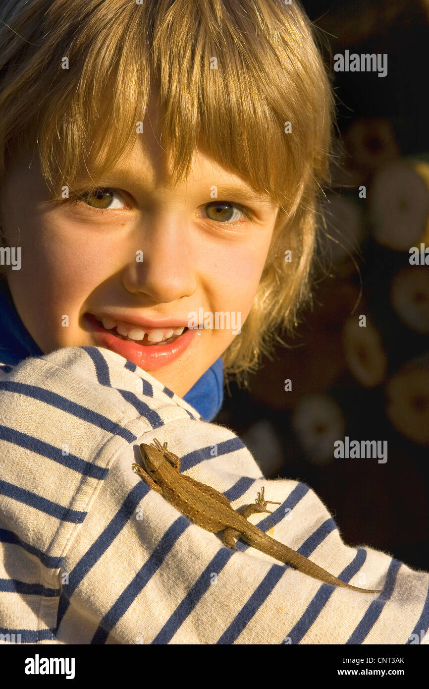 Lézard vivipare, lézard commun européen (Lacerta vivipara, Zootoca ...