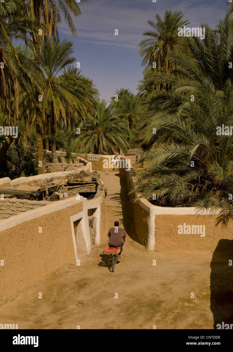 Old town ghadames libya Banque de photographies et d’images à haute ...