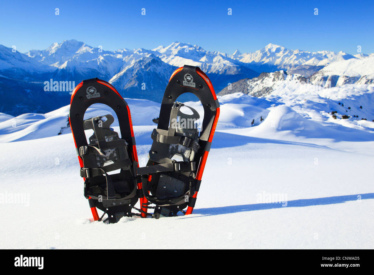 Paire de neige Banque de photographies et d’images à haute résolution ...