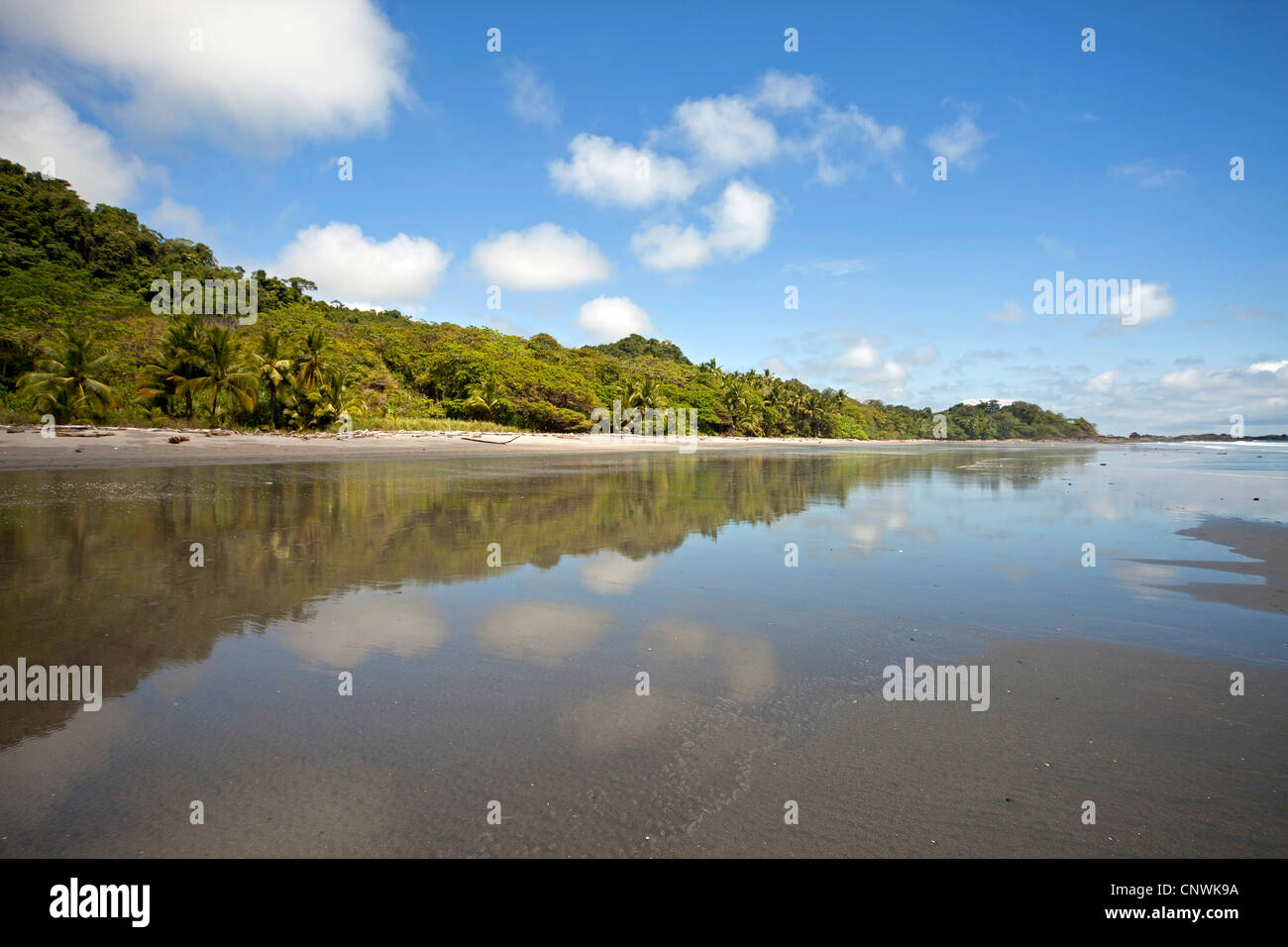 Marée basse à Playa Grande, une longue plage de sable près de Montezuma ...