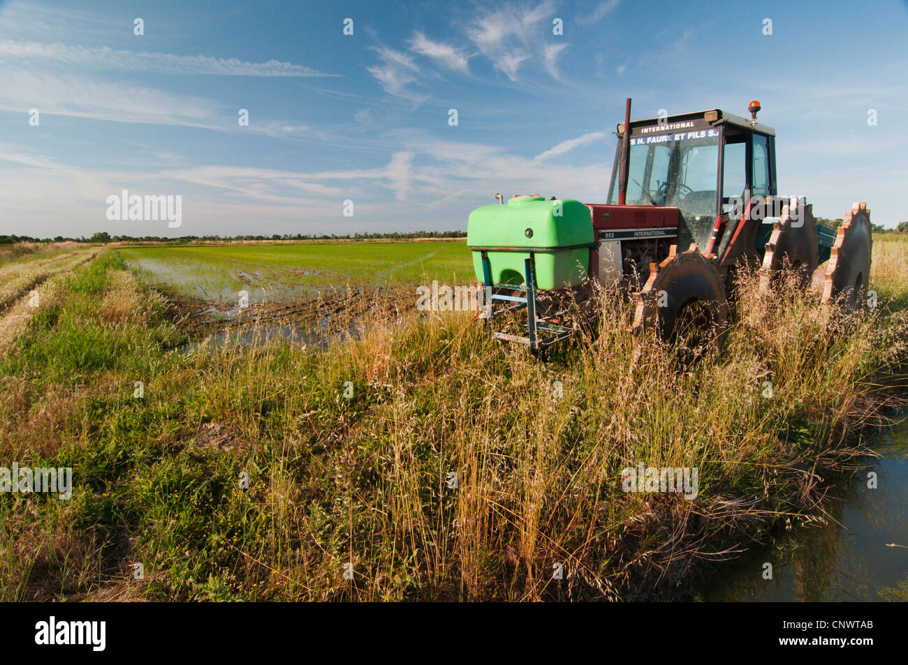 La culture du riz en Camargue, France, Bouches-du-Rhne, Provence-Alpes ...