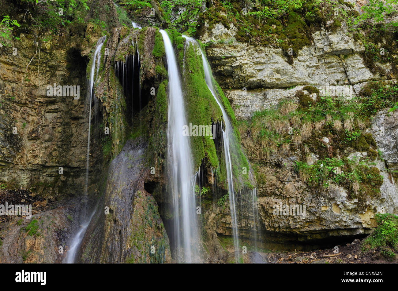 Cascade De Gorge Moussue Banque d'image et photos - Alamy
