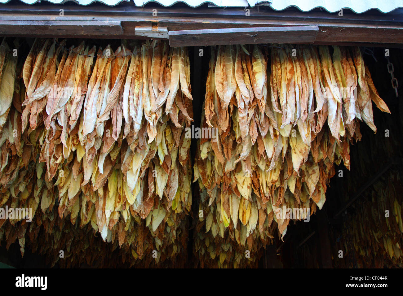 Les tabacs Banque de photographies et d’images à haute résolution - Alamy