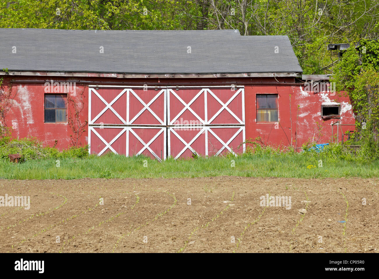 Ferme rouge Banque de photographies et d’images à haute résolution - Alamy