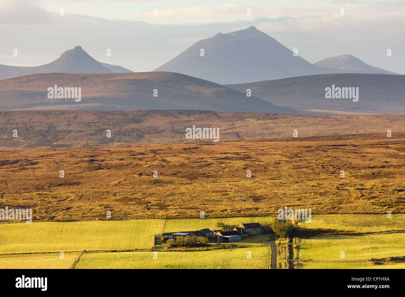Morven hill Banque de photographies et d’images à haute résolution - Alamy