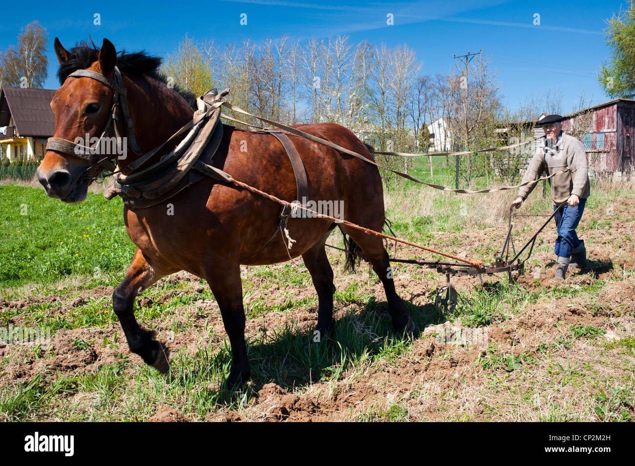 Travail du sol travail pénible avec charrue à cheval Banque de ...