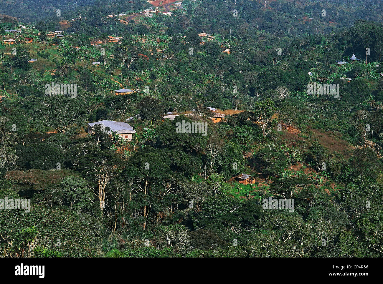 Pays cameroun Banque de photographies et d’images à haute résolution ...