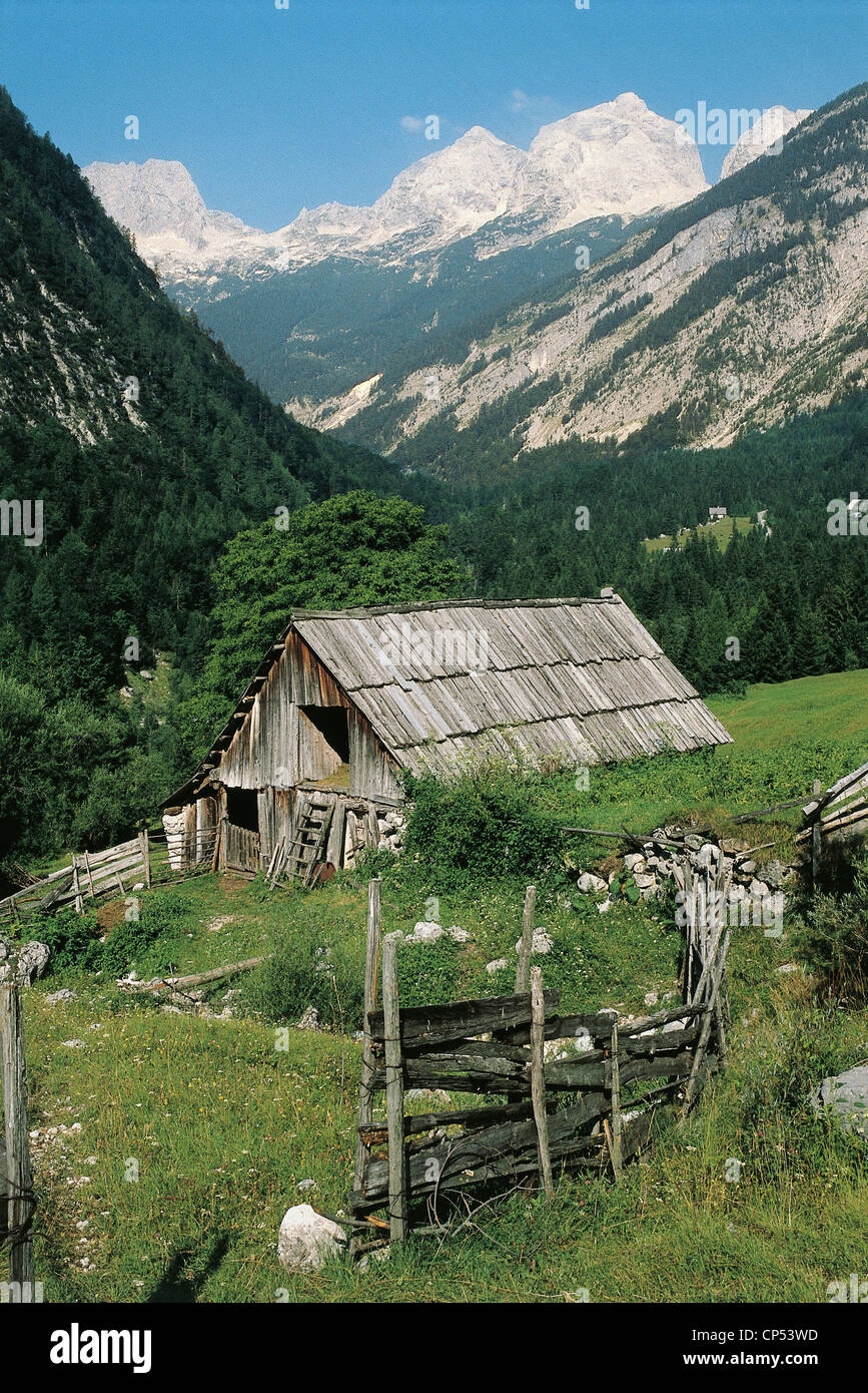 Slovénie - Parc National Triglav Triglav (Narodni Park). Trenta Valley ...