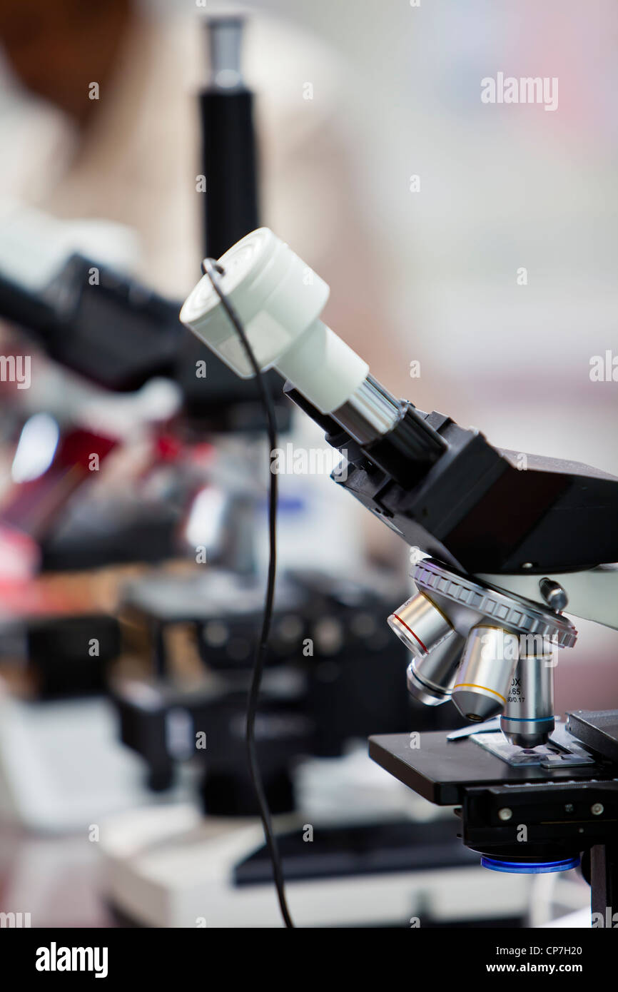 Microscopie optique Banque de photographies et d’images à haute ...