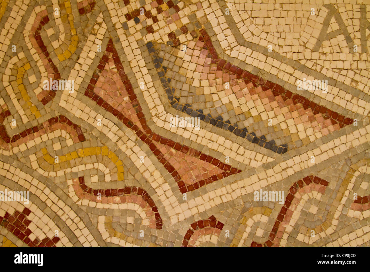 Madaba Jordan Mosaics Banque d'image et photos - Alamy