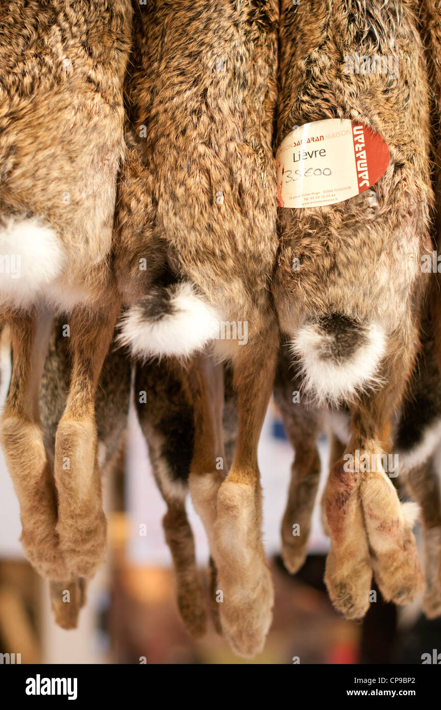 Queues de lapins Banque de photographies et d’images à haute résolution ...