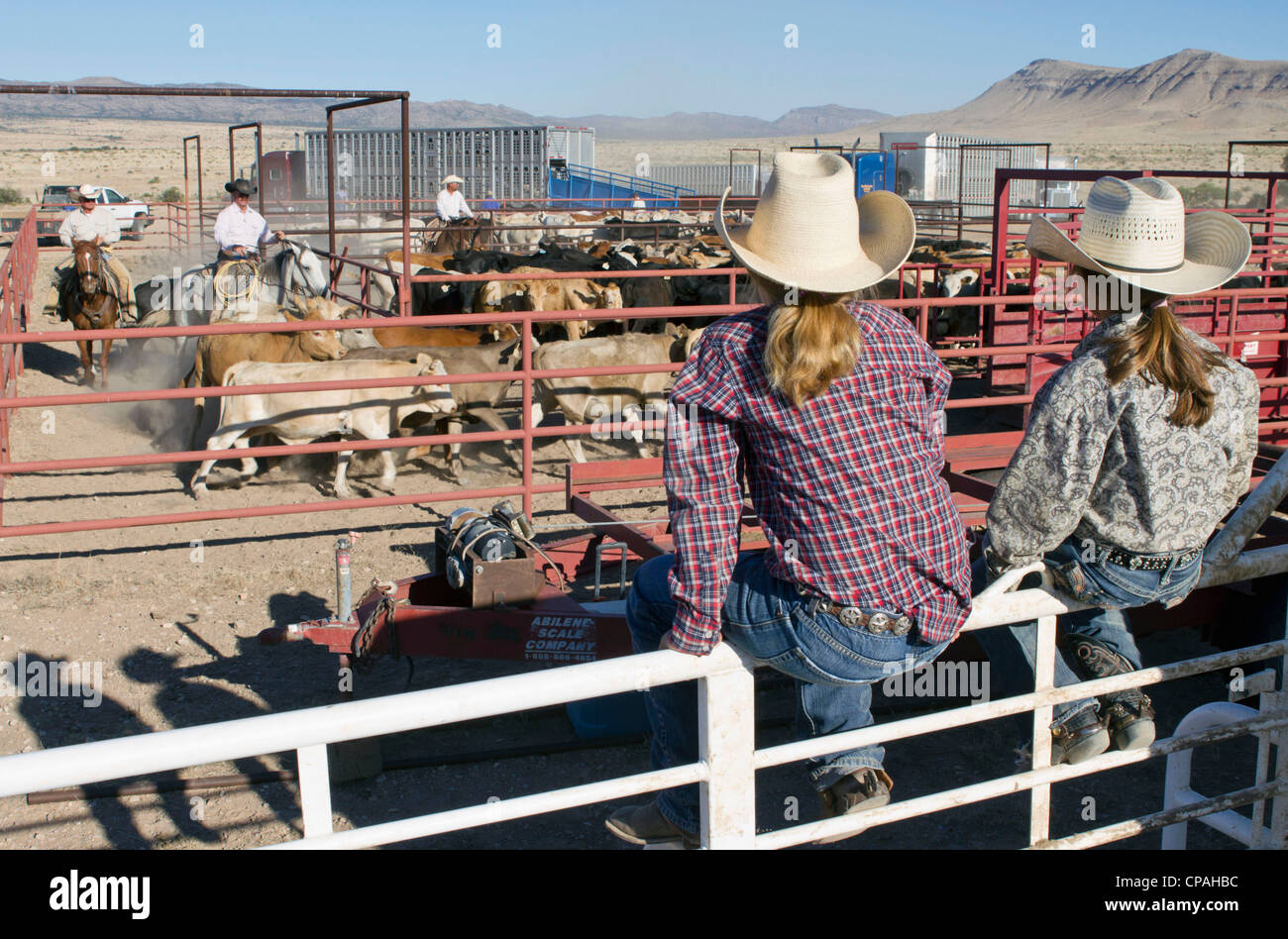 Cowboys du texas Banque de photographies et d’images à haute résolution ...