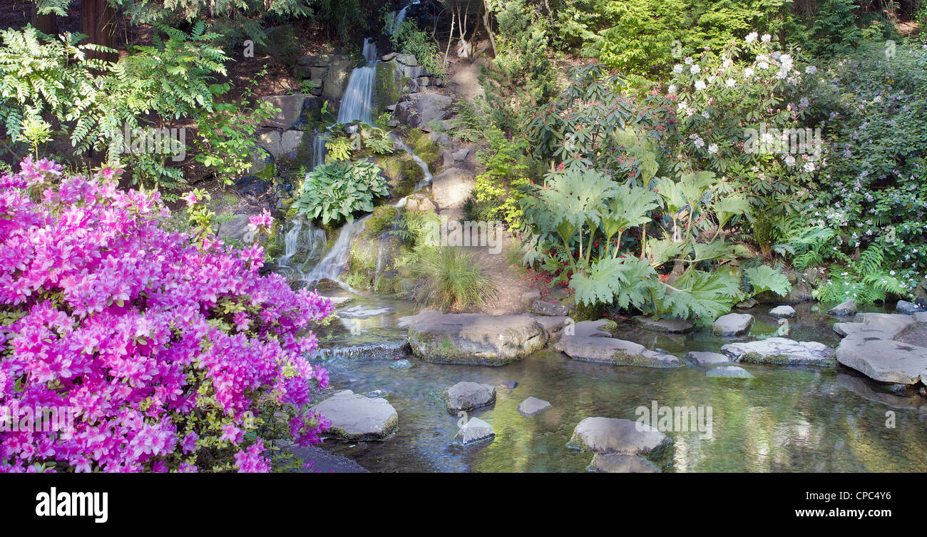 Cascade de rhododendron Banque de photographies et d’images à haute ...