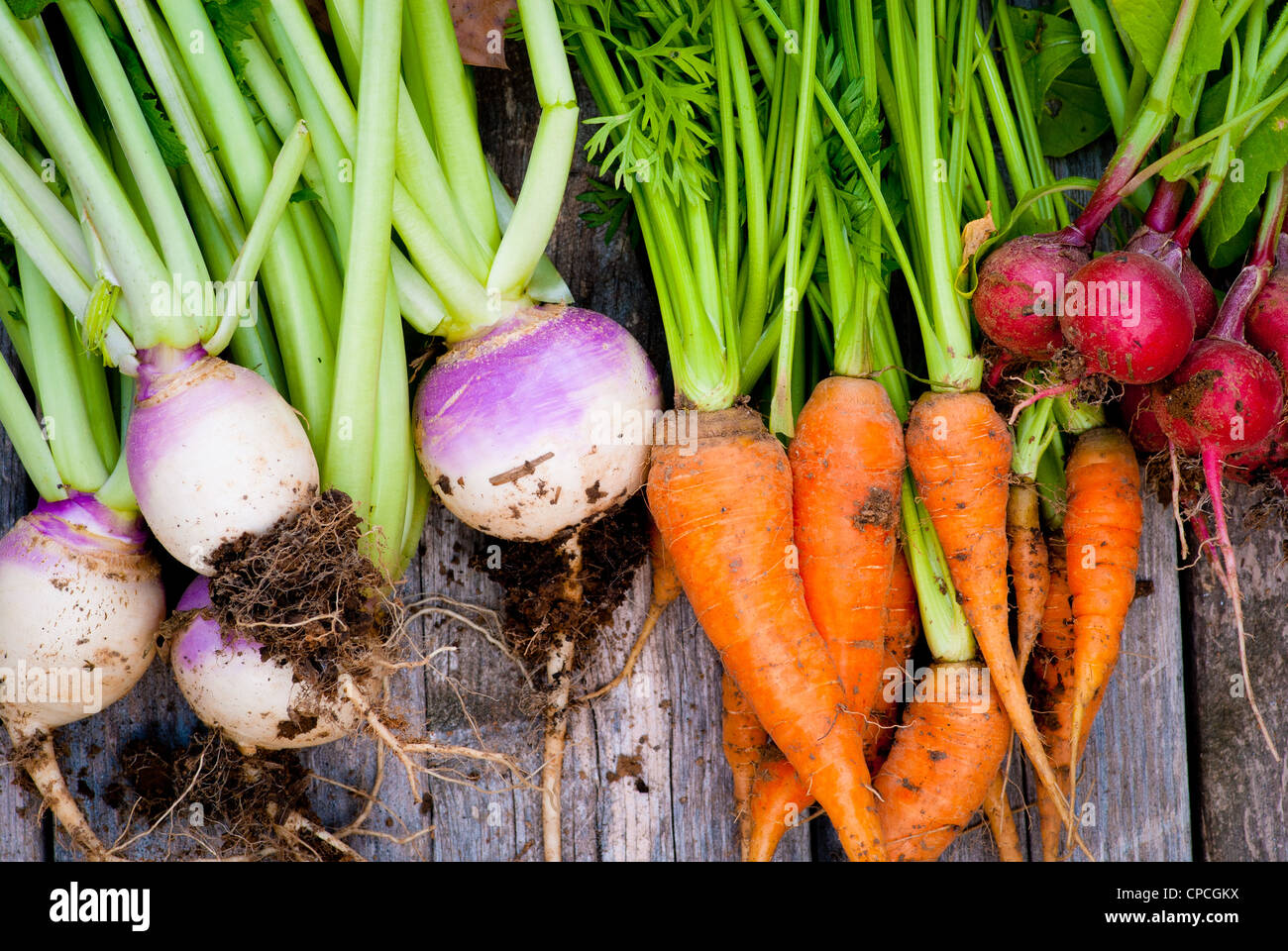 Légumes racines Banque de photographies et d’images à haute résolution ...