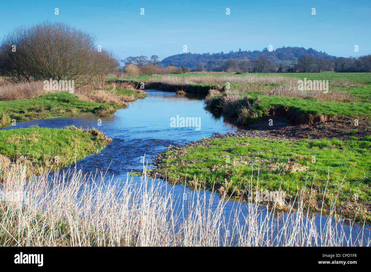 Rewe devon Banque de photographies et d’images à haute résolution - Alamy