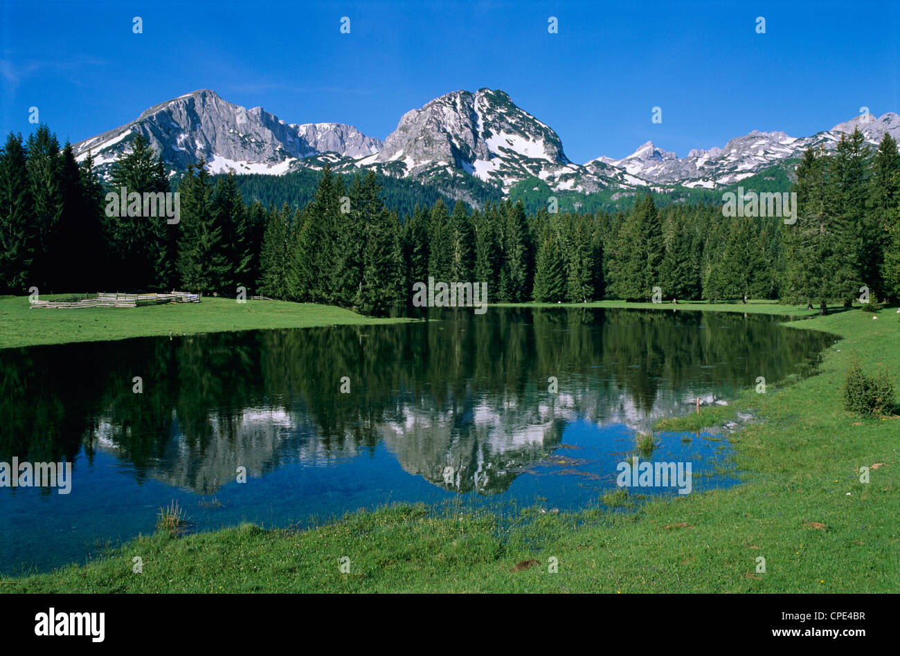 Gamme de montagne Durmitor, près de Zabljak, parc national de Durmitor ...