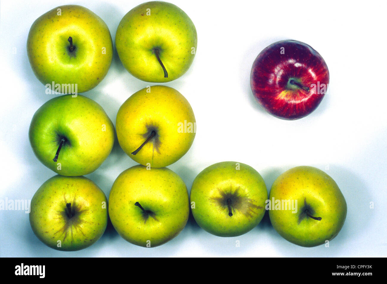 Différents types de pommes jaune et rouge Fond blanc Photo Stock - Alamy