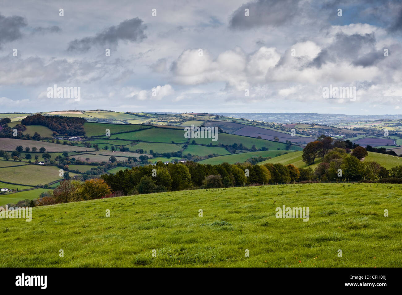 Raddon hills Banque de photographies et d’images à haute résolution - Alamy