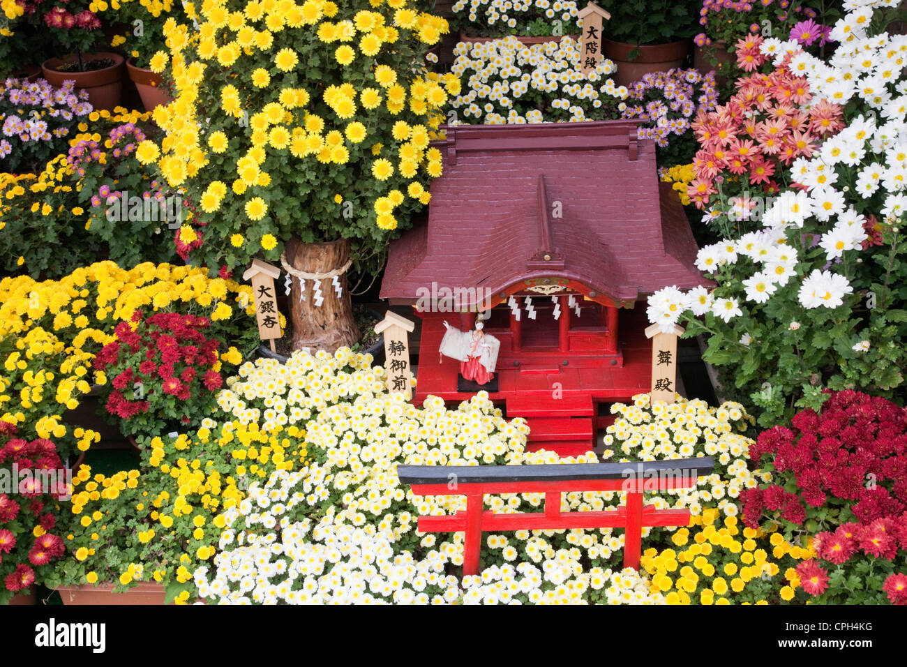 L'Asie, Japon, Tokyo, Kamakura, sanctuaire Tsurugaoka Hachiman, culte ...