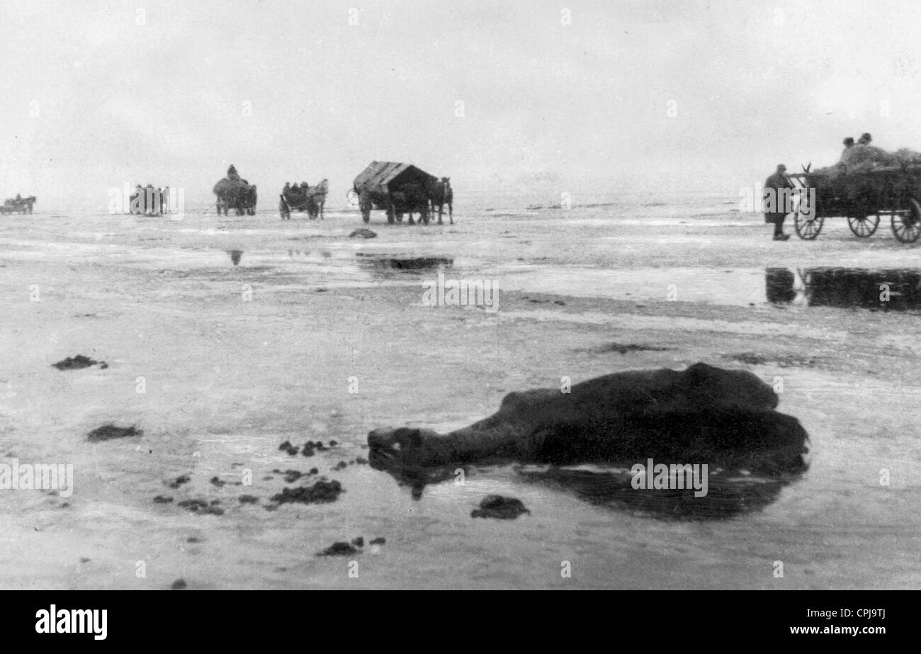 La voie balte Banque d'images noir et blanc - Alamy