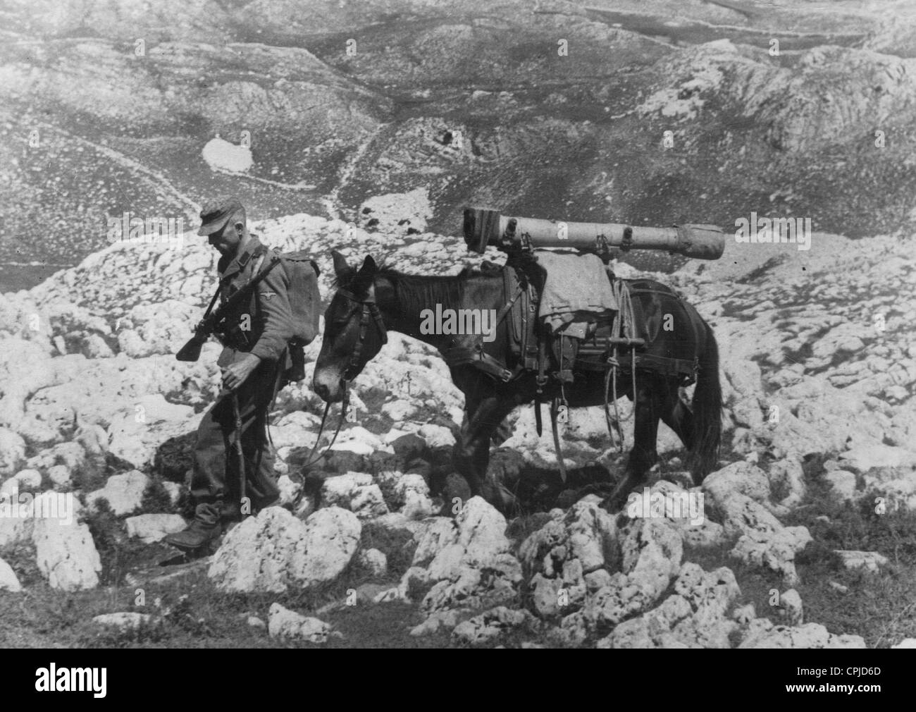 Waffen ss soldier Banque de photographies et d’images à haute ...