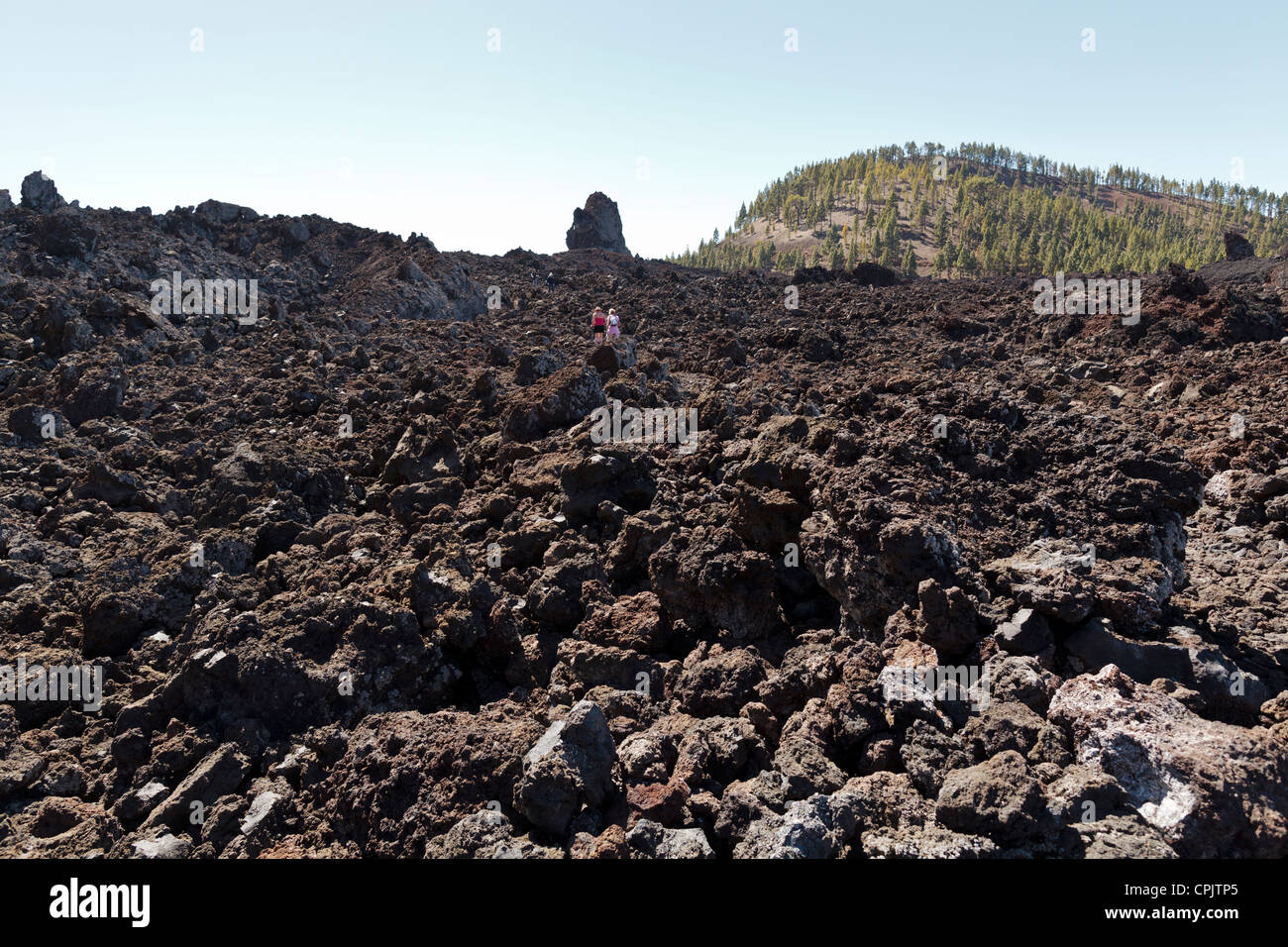 Un chemin de lave solidifiée le crosing dans la réserve naturelle de la ...