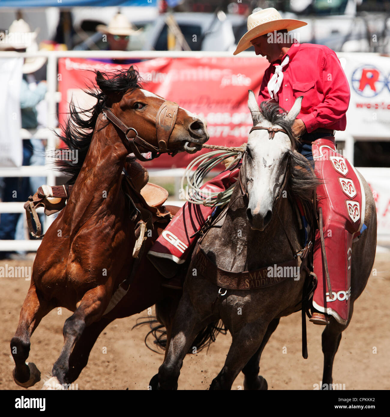 Rodeo rider Banque de photographies et d’images à haute résolution - Alamy