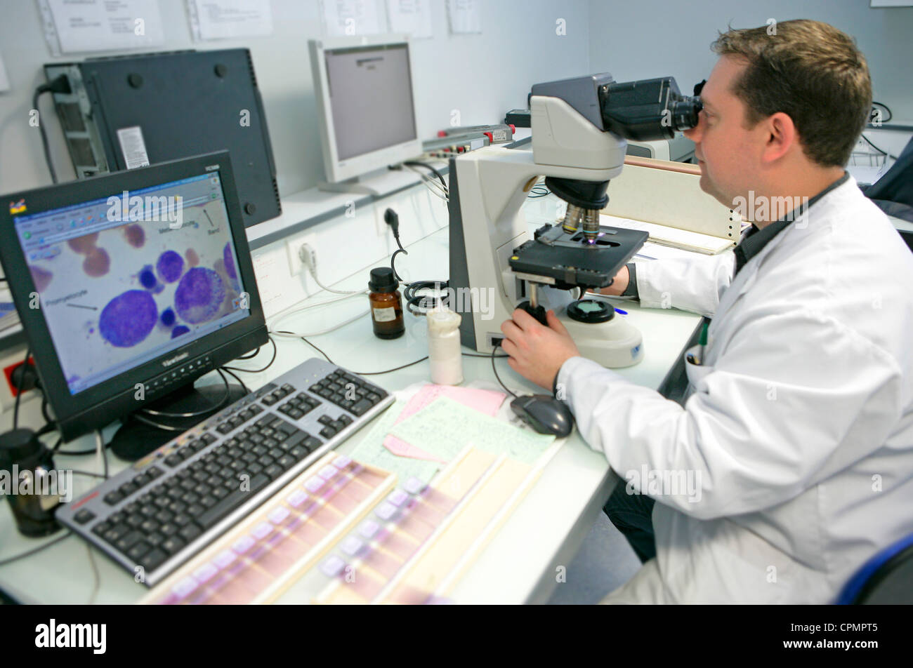 Frottis sanguin humain Banque de photographies et d’images à haute ...