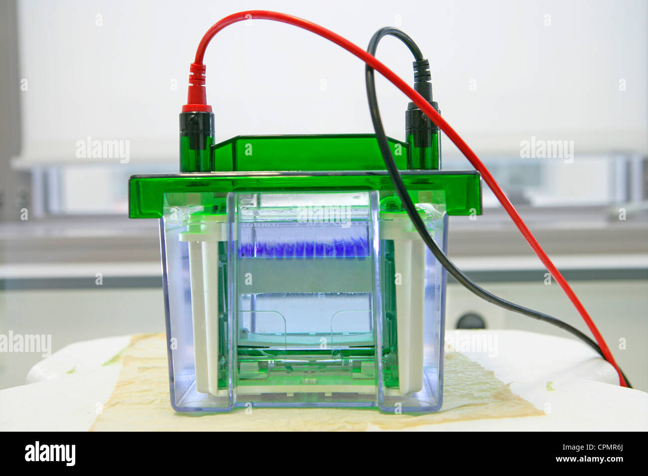 Dna Research Gel Electrophoresis Banque d'image et photos - Alamy