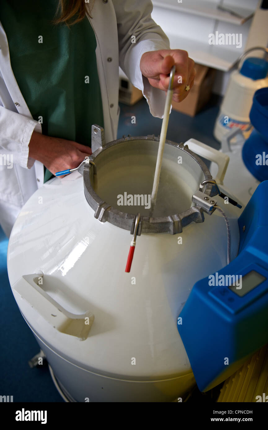 Cryopreservation Banque d'image et photos - Alamy