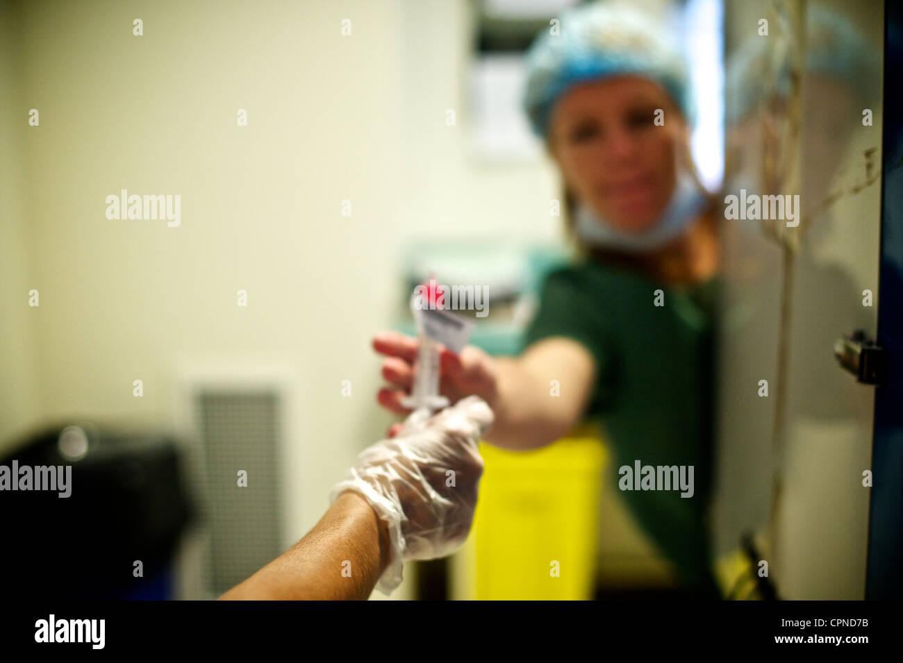 Ivf ova dans Banque de photographies et d’images à haute résolution - Alamy