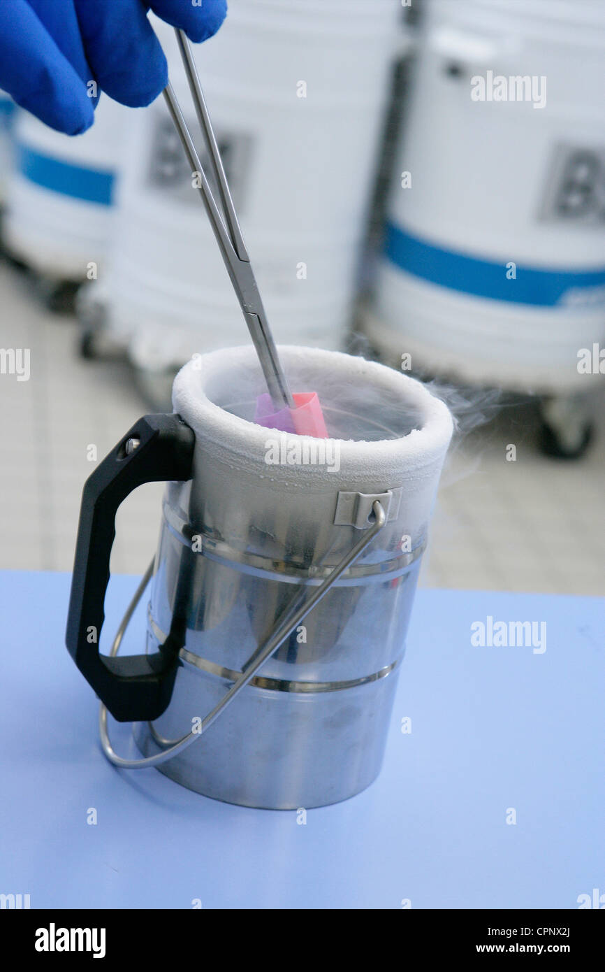 Cryopreservation Banque de photographies et d’images à haute résolution ...