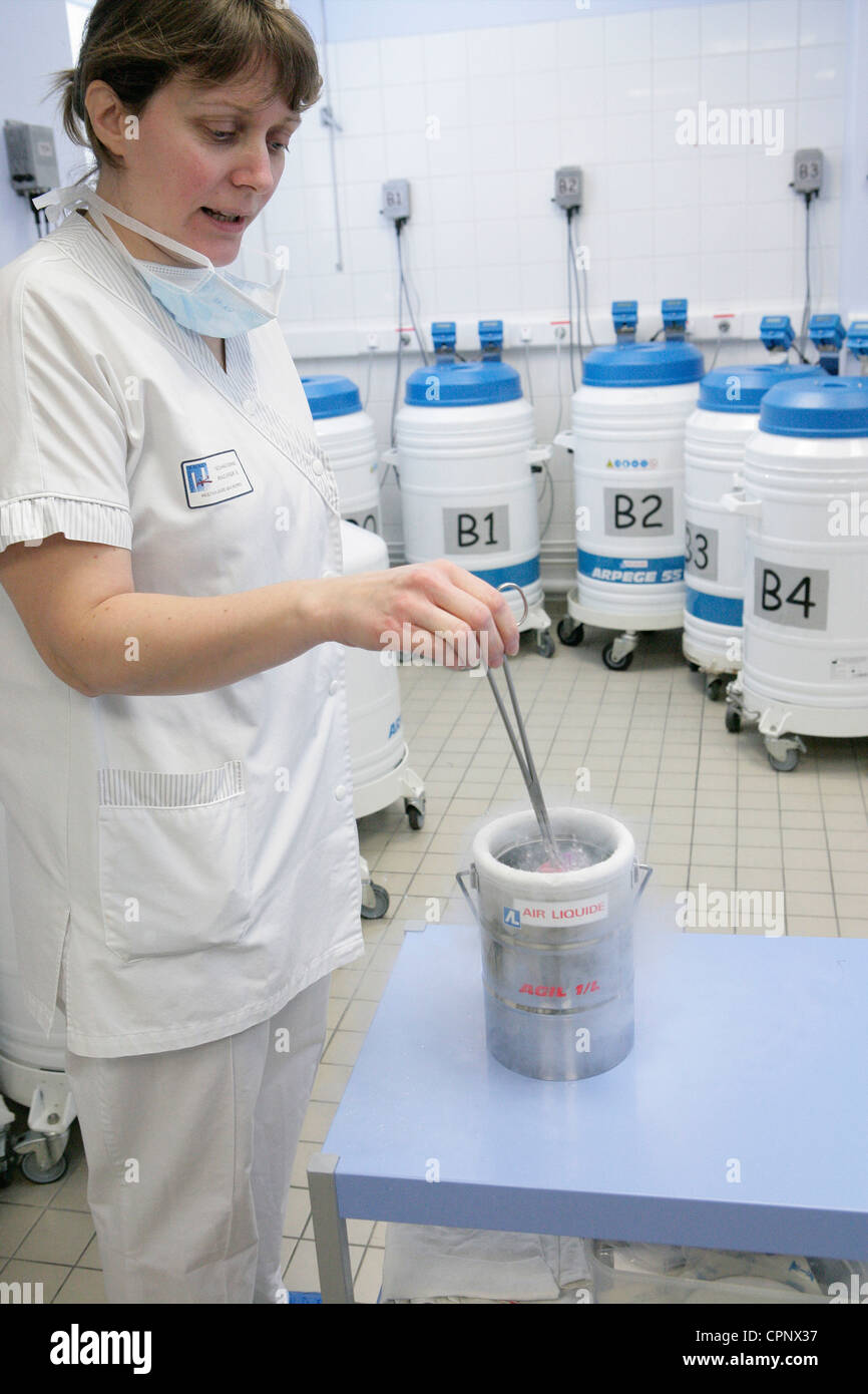 Cryopreservation Banque de photographies et d’images à haute résolution ...