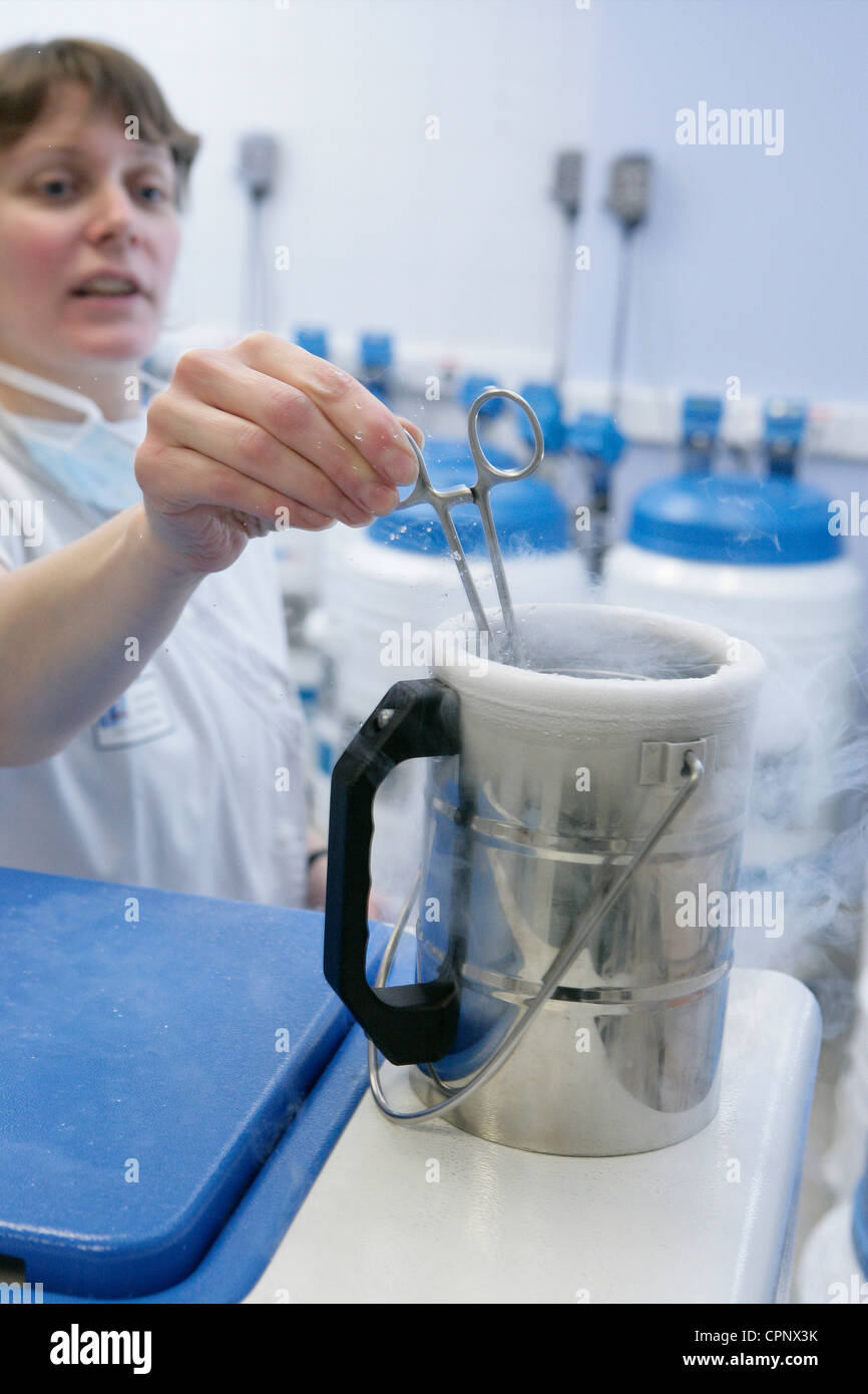 Cryopreservation Banque de photographies et d’images à haute résolution ...