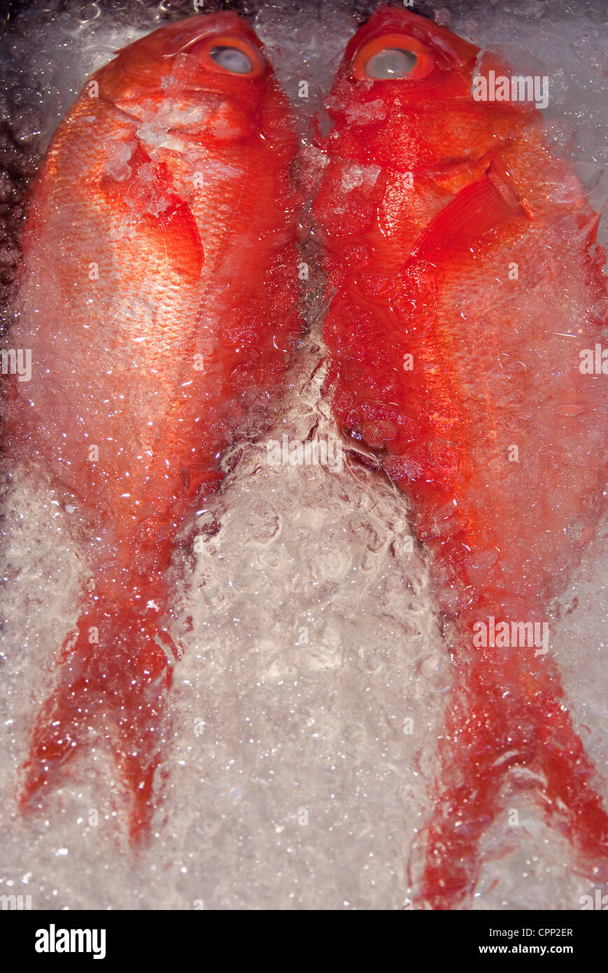 Poissons Le Poisson Banque d'image et photos - Alamy