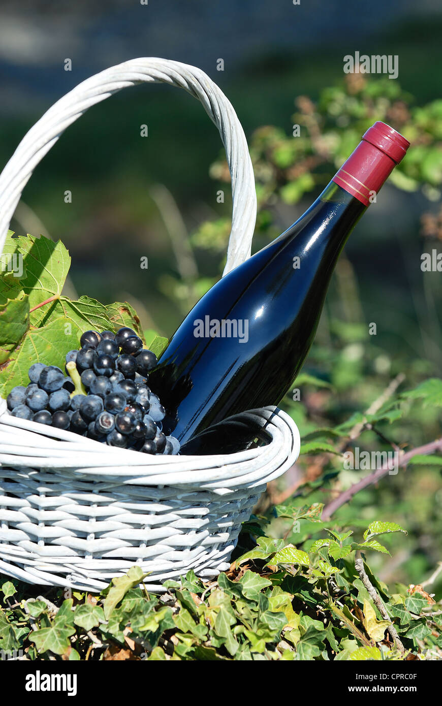 Bouteille de vin rouge Banque de photographies et d’images à haute ...