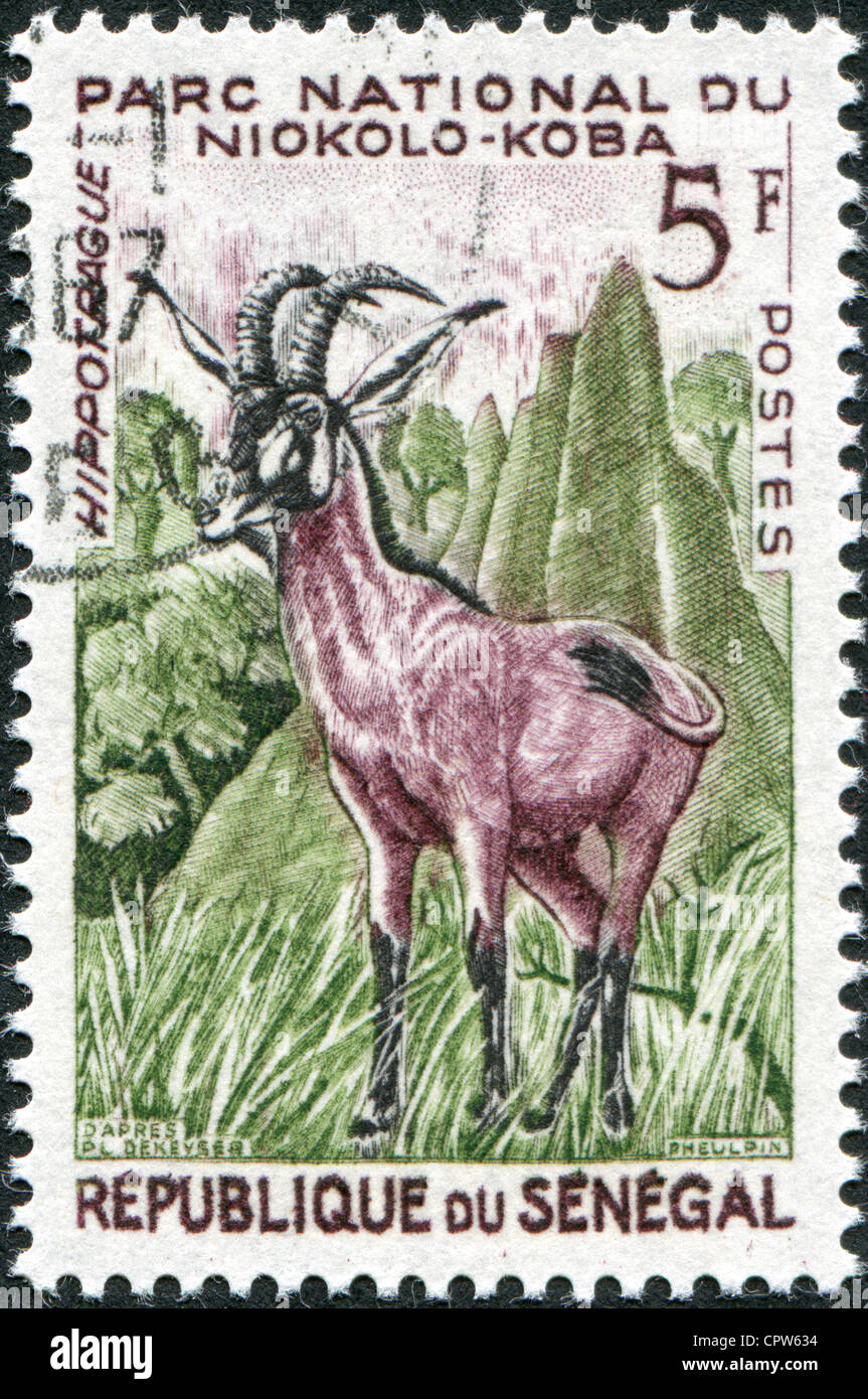 Koba antelope Banque de photographies et d’images à haute résolution ...