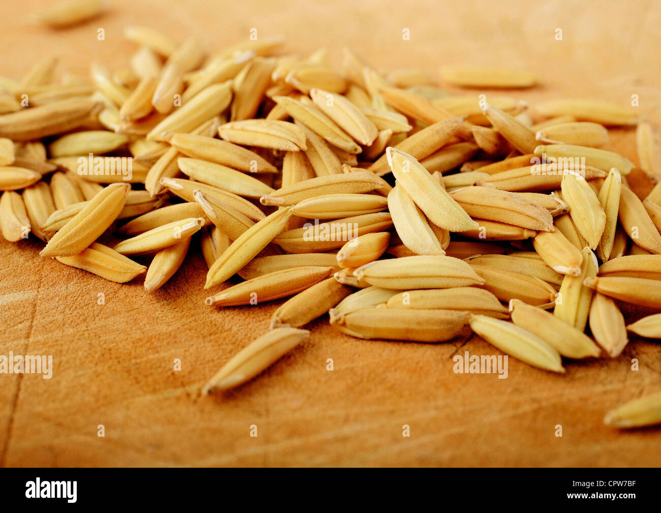 Sheaf of paddy Banque de photographies et d’images à haute résolution ...