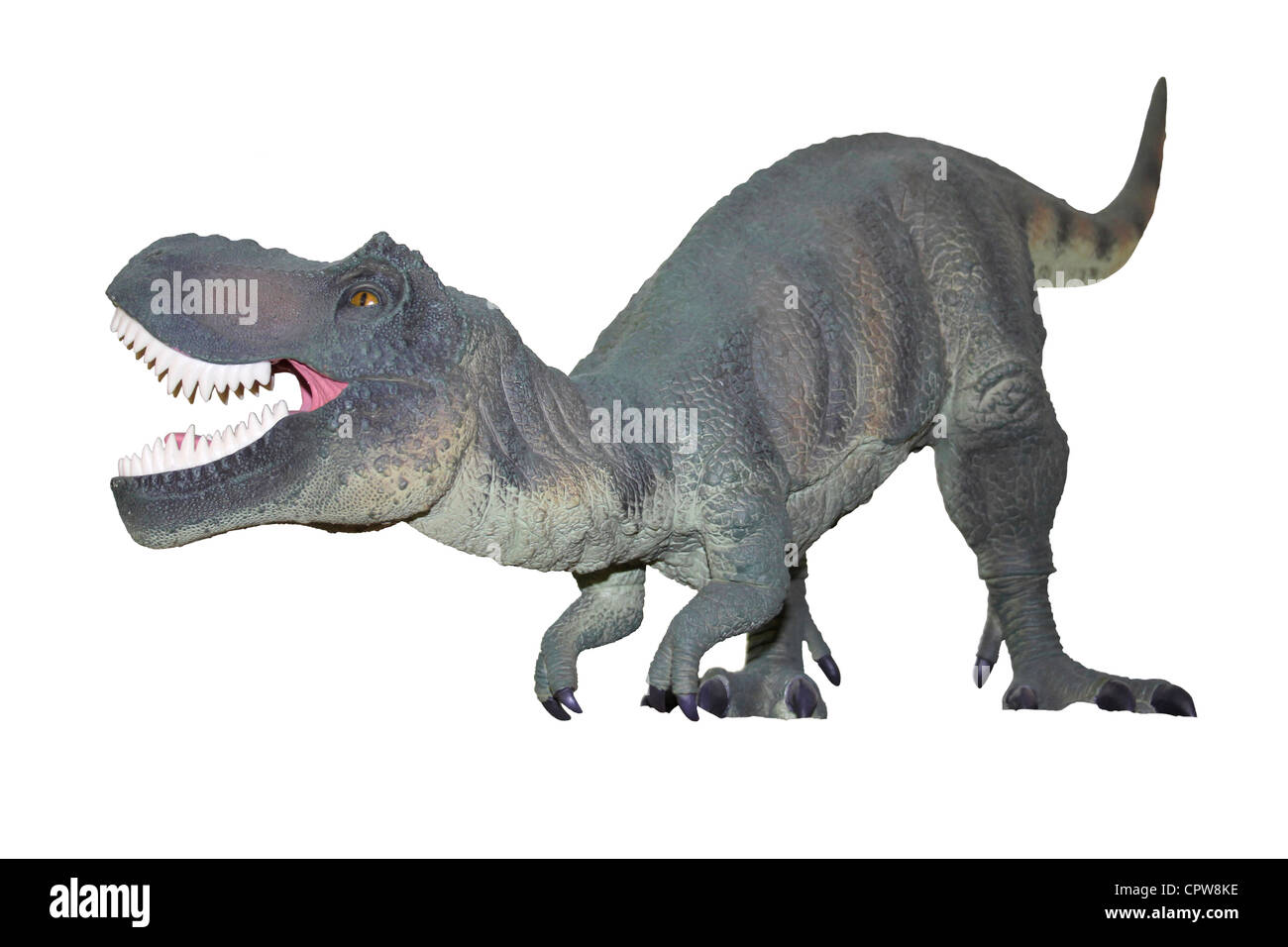 Dinosaure tyrannosaure rex Banque de photographies et d’images à haute résolution - Alamy