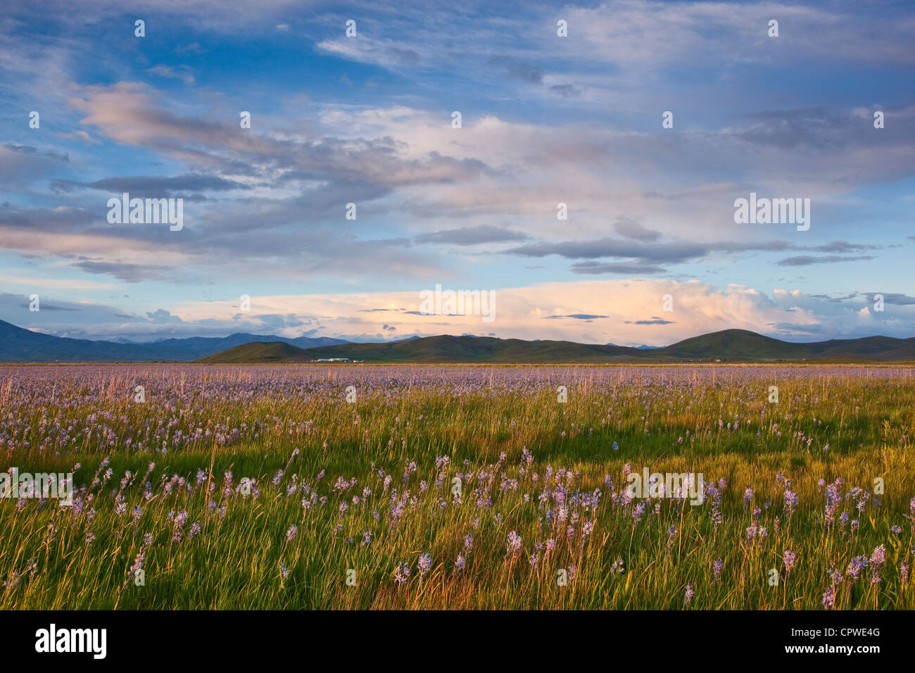 Paysage Praire Banque d'image et photos - Alamy