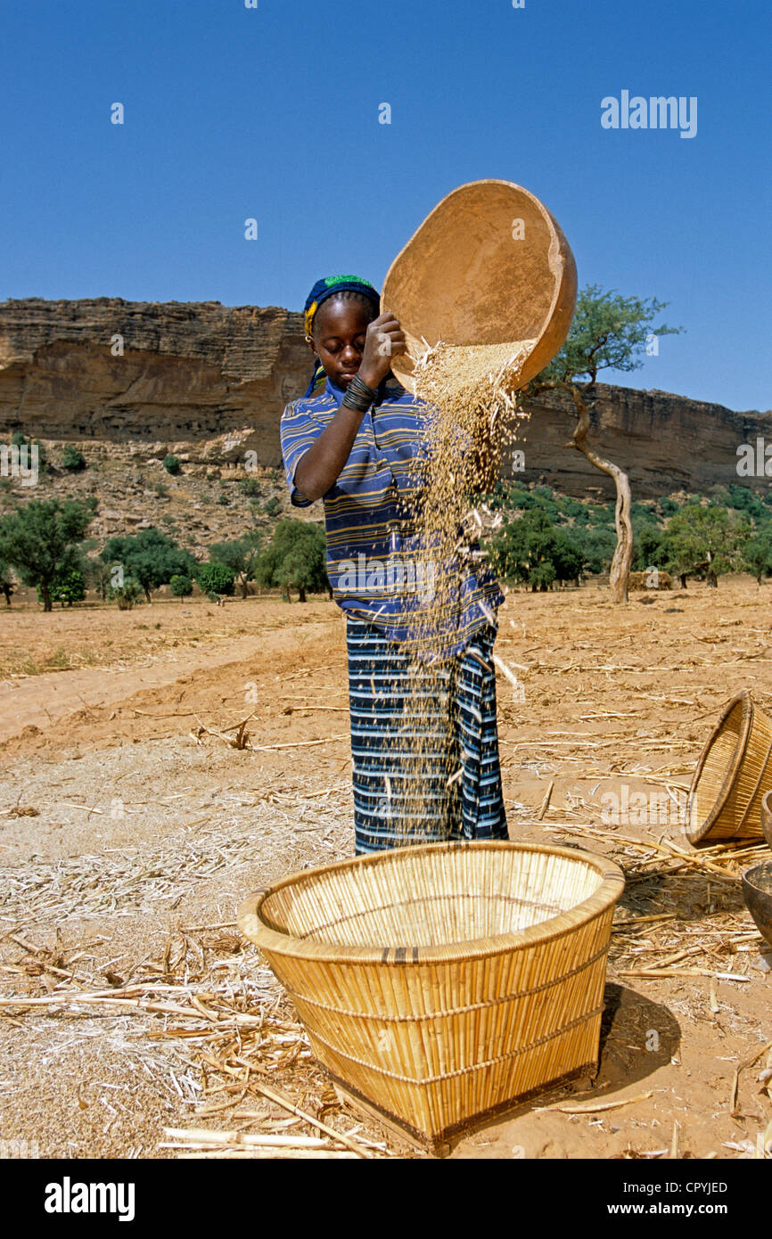 Agriculture mali afrique Banque de photographies et d’images à haute ...