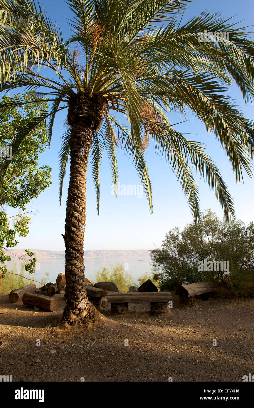 Mer de Galilée, de Tibériade, Lac de Génésareth, ou le lac de Tibériade ...