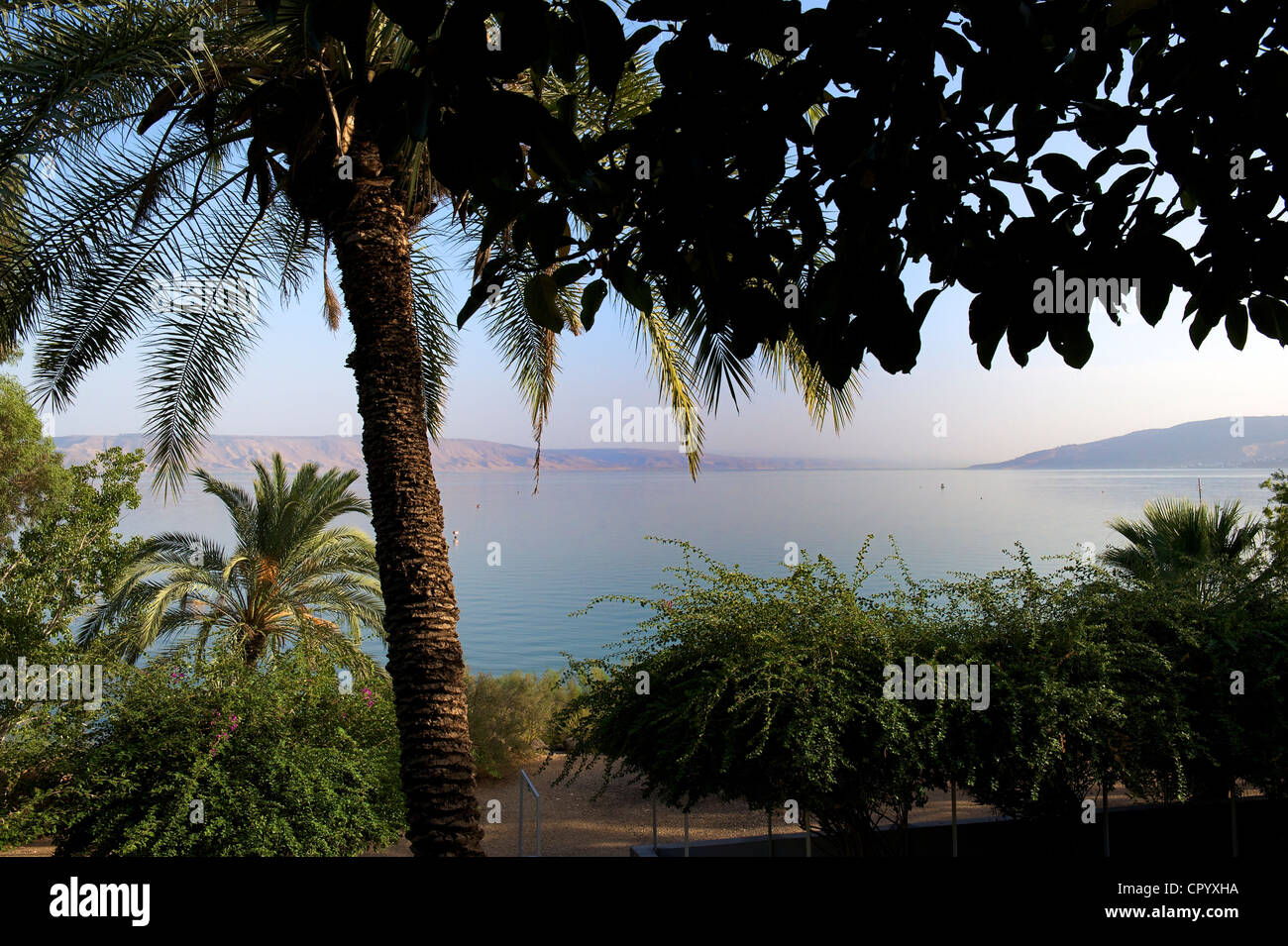 Mer de Galilée, de Tibériade, Lac de Génésareth, ou le lac de Tibériade ...