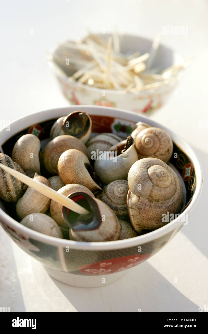 Le Maroc, Haut Atlas, Marrakech, ville impériale, escargots aux épices ...