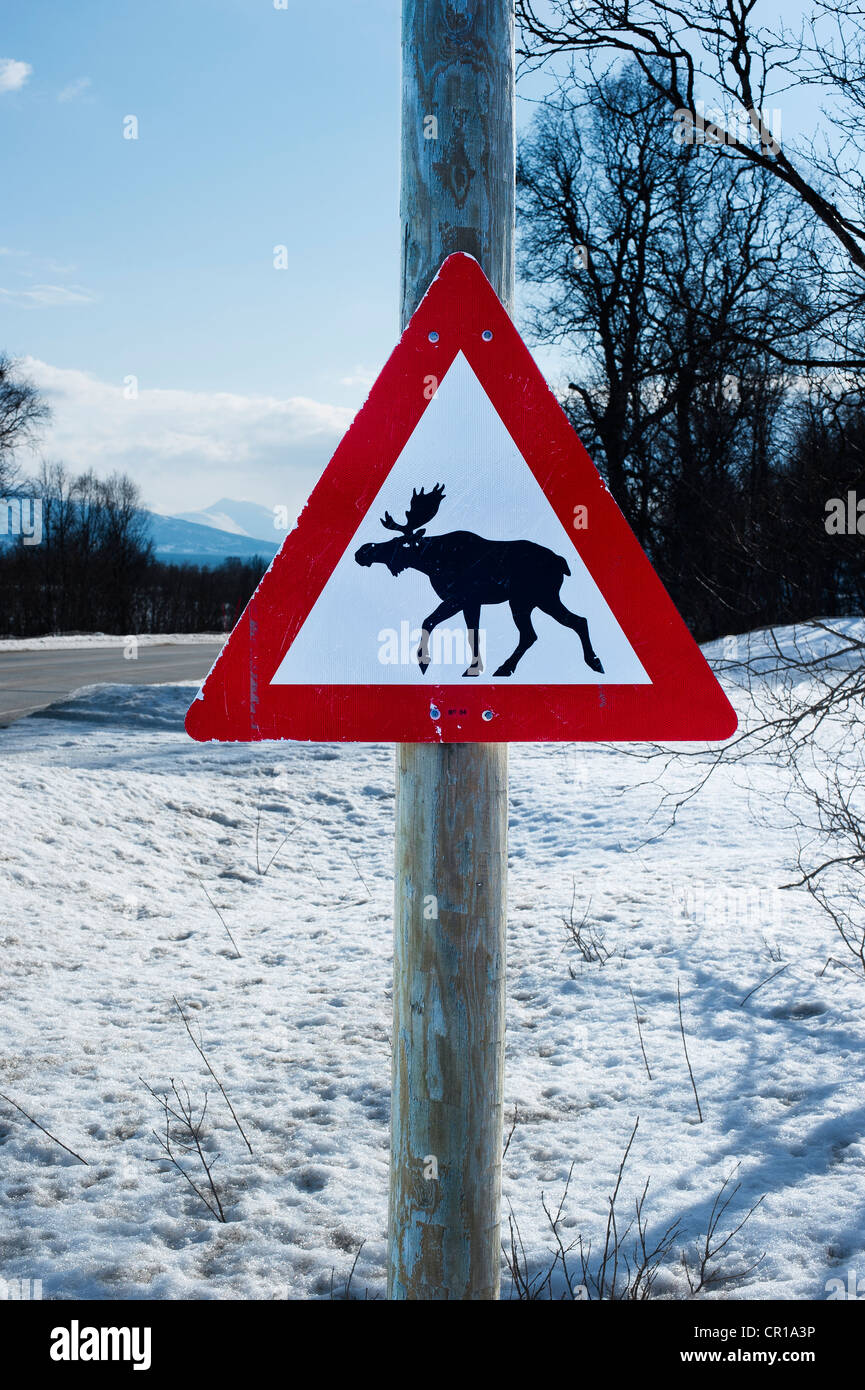 Avertissement De Wapiti Banque d'image et photos - Alamy