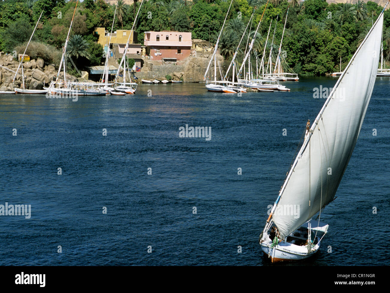 L'Égypte, de la Haute Égypte, vallée du Nil, Assouan, felouque sur le ...