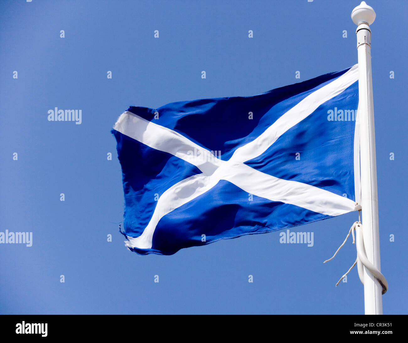 Drapeau écossais de saltire Banque de photographies et d’images à haute ...