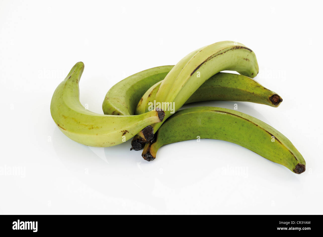 Musa musaceae Banque d'images détourées - Alamy